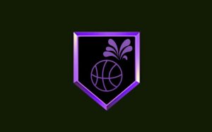 Could This be the Next Evolution of NBA 2K Badges? (20 New Badges ...